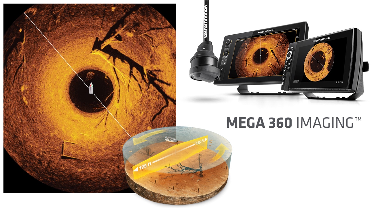  360 